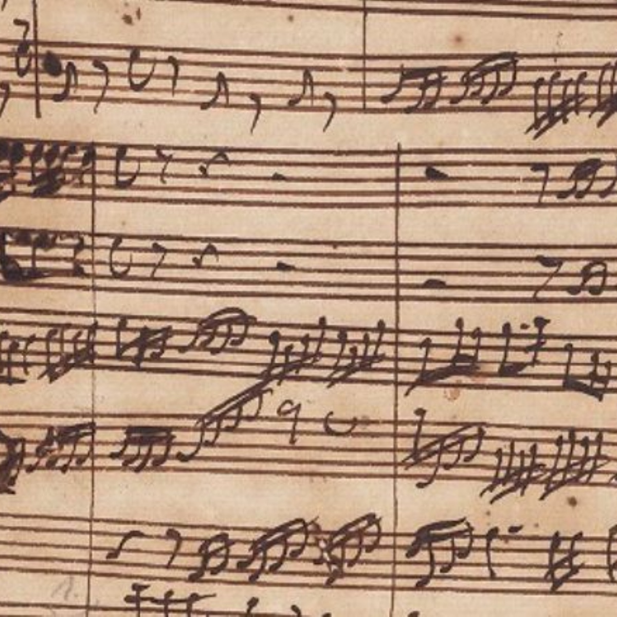 Choir of New College Oxford - Bach 2024-2025